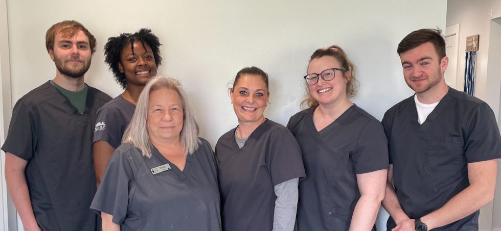 Our Team | Central Veterinary Hospital