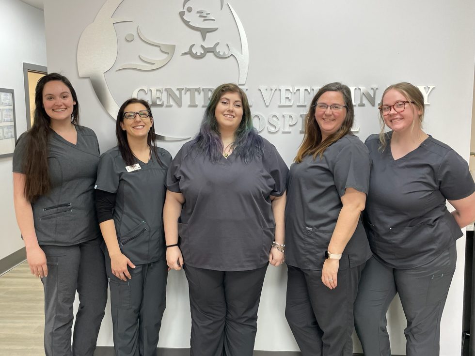Our Team | Central Veterinary Hospital